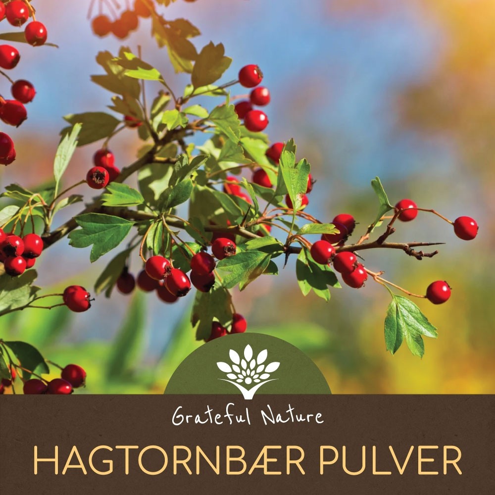Hagtornbær - Hawthorn - Hjerte & Kar - Pulver - 250g - Natur.no ...